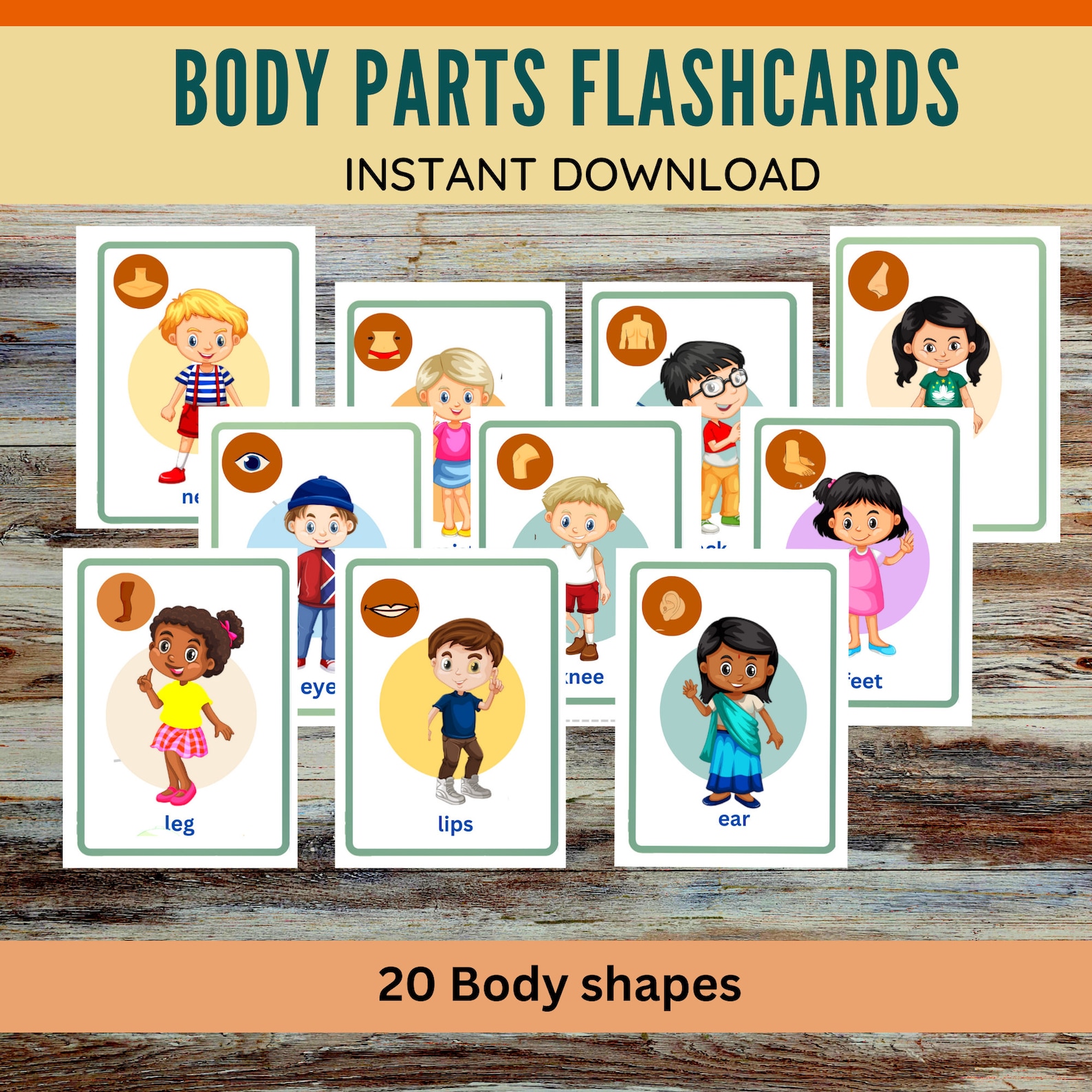 Body Parts Flashcards for Preschoolers Prek Kindergarten Printable ...