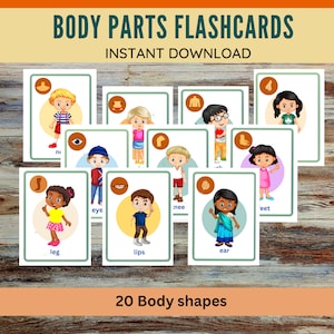 Body Parts Flashcards for Preschoolers Prek Kindergarten Printable ...