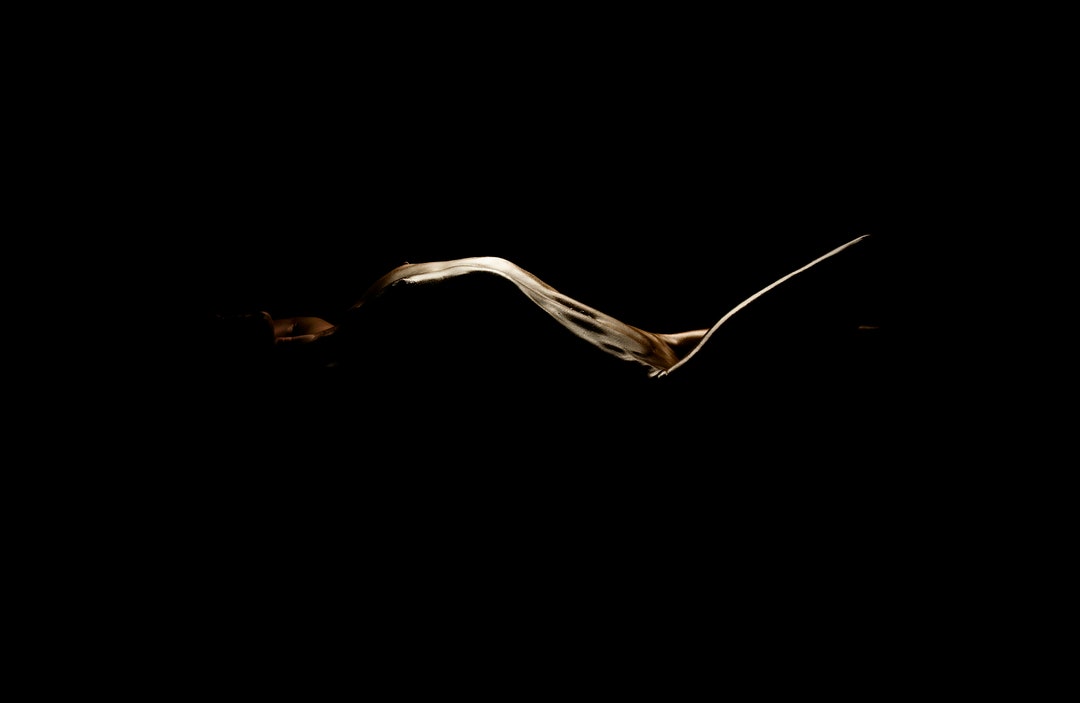 Bodyscape Silhouette V1 - Etsy