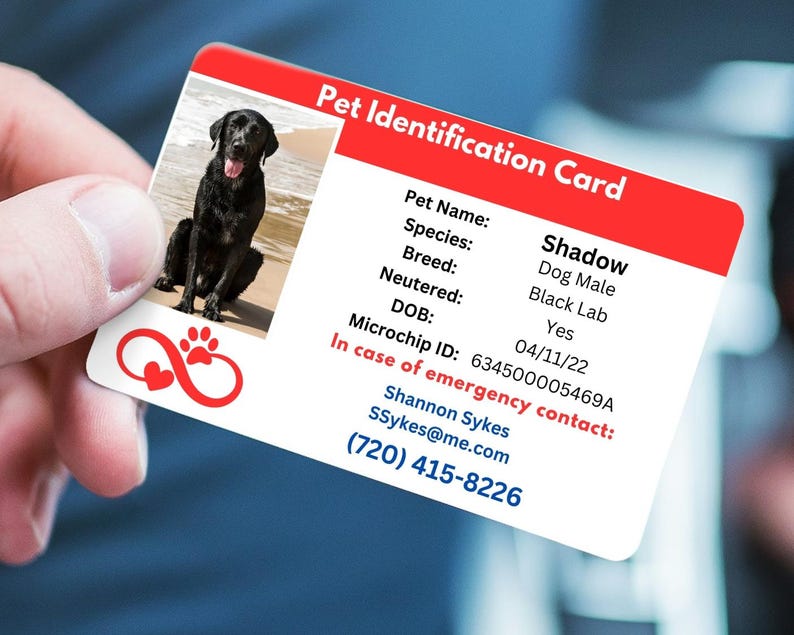 Pet Identification Card - Etsy