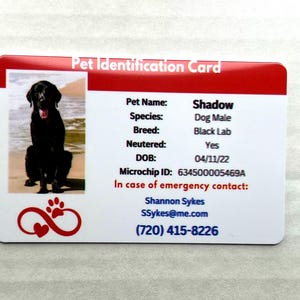Pet Identification Card - Etsy
