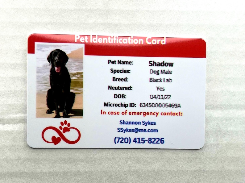 Pet Identification Card - Etsy