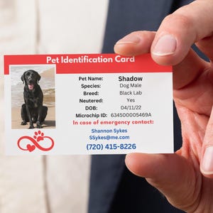 Pet Identification Card - Etsy
