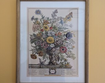 Robert Ferber February 12 Month of Flowers Botanical Lithograph Print ...