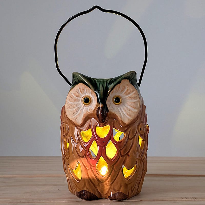 Owl Lantern - Etsy