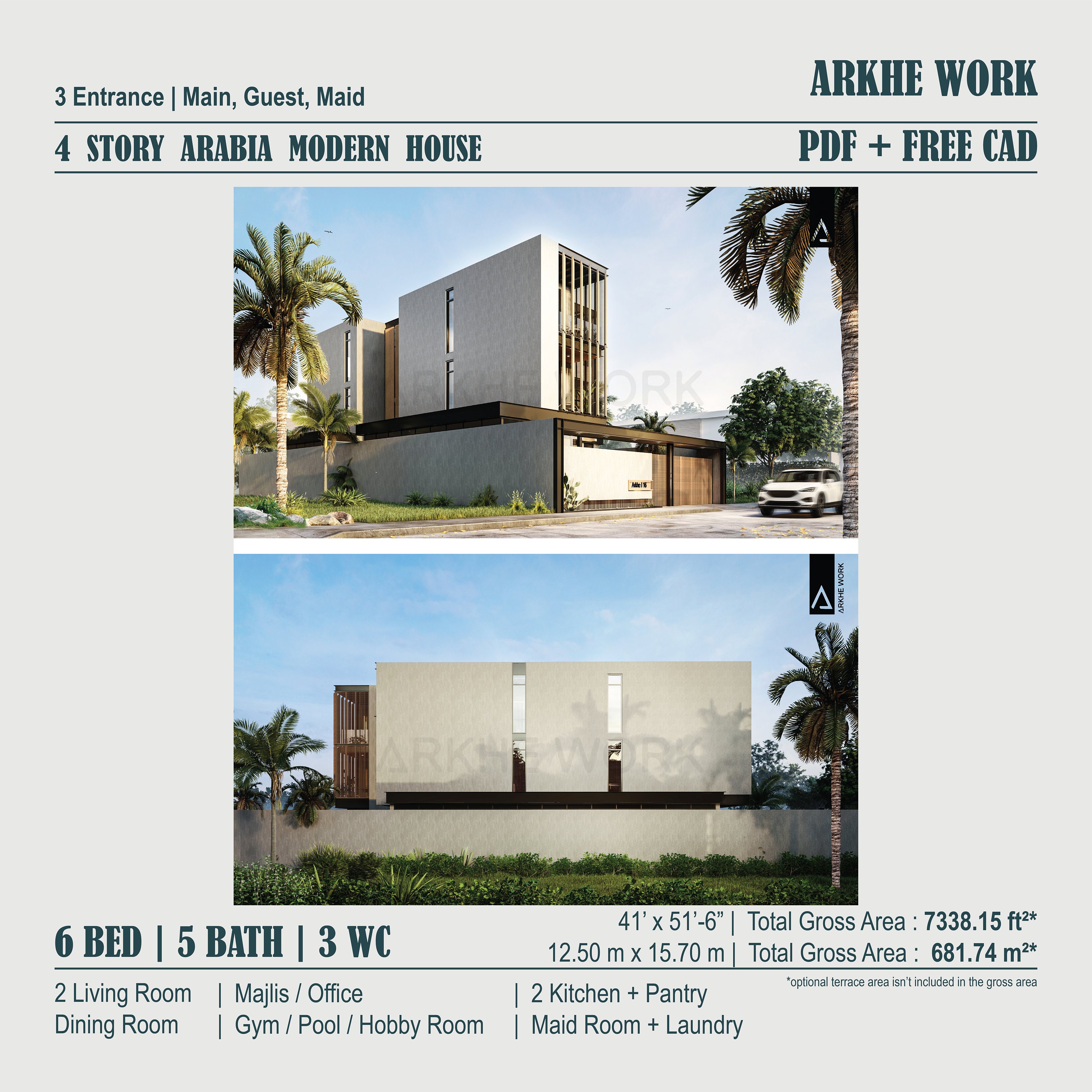 Arabia Modern Luxury House Plan ,contemporary House With Two Entry ...