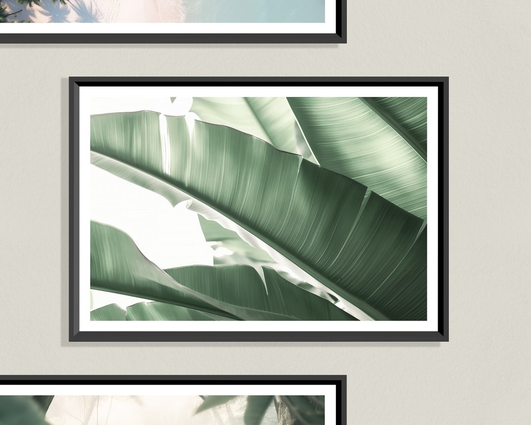 Banana Leaf Print (L), Banana Leaves Poster, Banana Leaf Print, Leaf ...