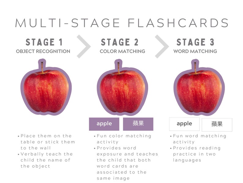 36 Fruit Flashcards in Cantonese With Real Pictures. Traditional ...