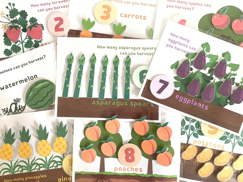 Count and Match Fruits and Vegetables. Learn to Count. Harvest and ...