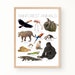 Old Macdonald Had A Farm Printable Props. Nursery Rhymes, Baby and ...