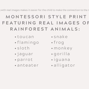 Montessori Rainforest Animals Poster With Real Pictures. Homeschool ...