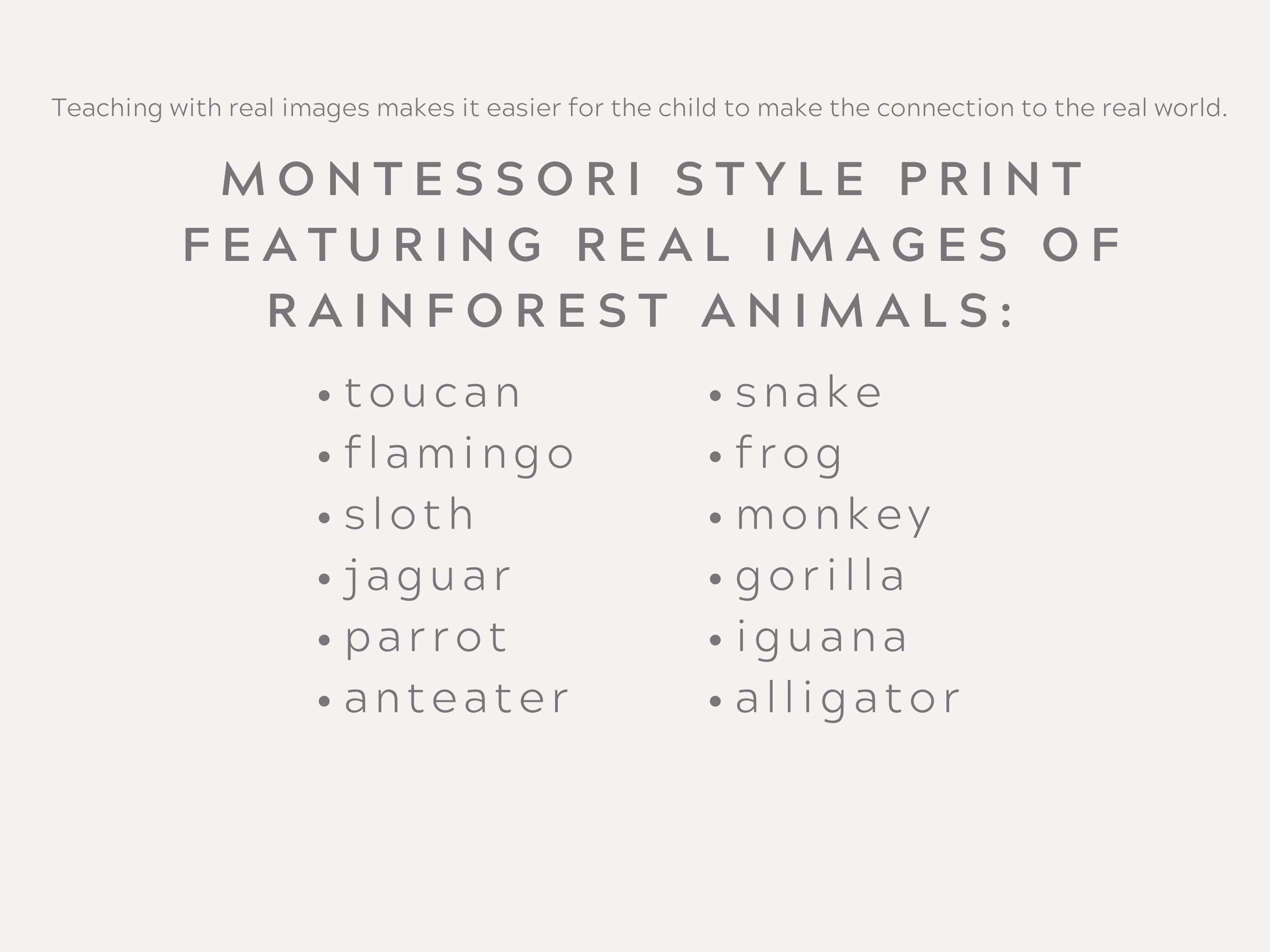 Montessori Rainforest Animals Poster With Real Pictures. Homeschool ...
