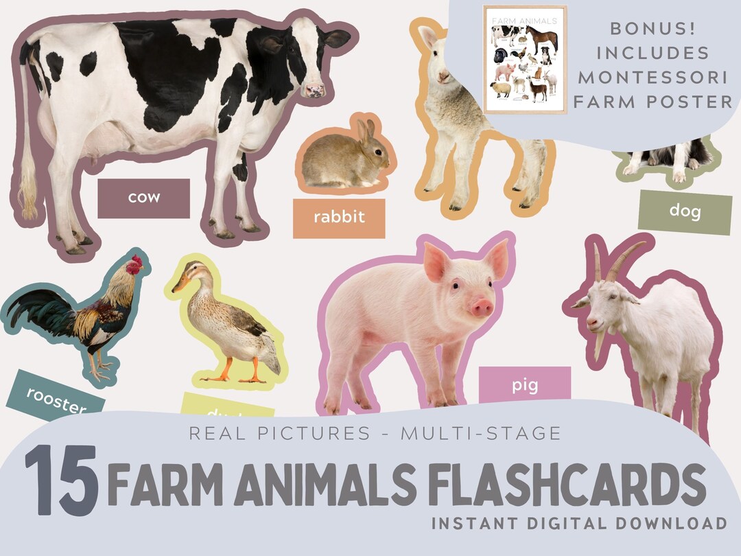 15 Farm Animals Flashcards and Poster With Real Pictures. Montessori ...