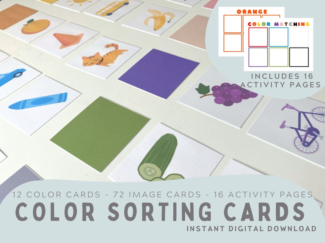 Color Sorting Activity. Color Matching Cards. Toddler, Preschool ...