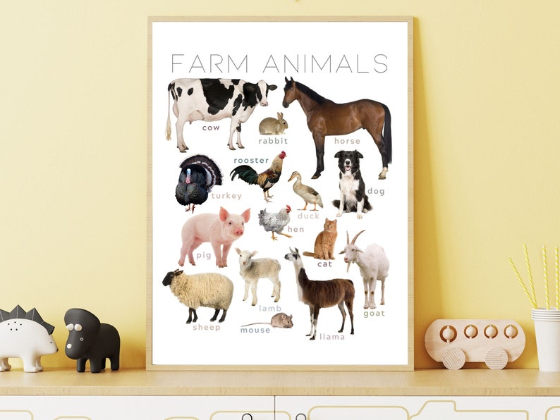 Montessori Farm Animals Poster With Real Pictures. Homeschool ...