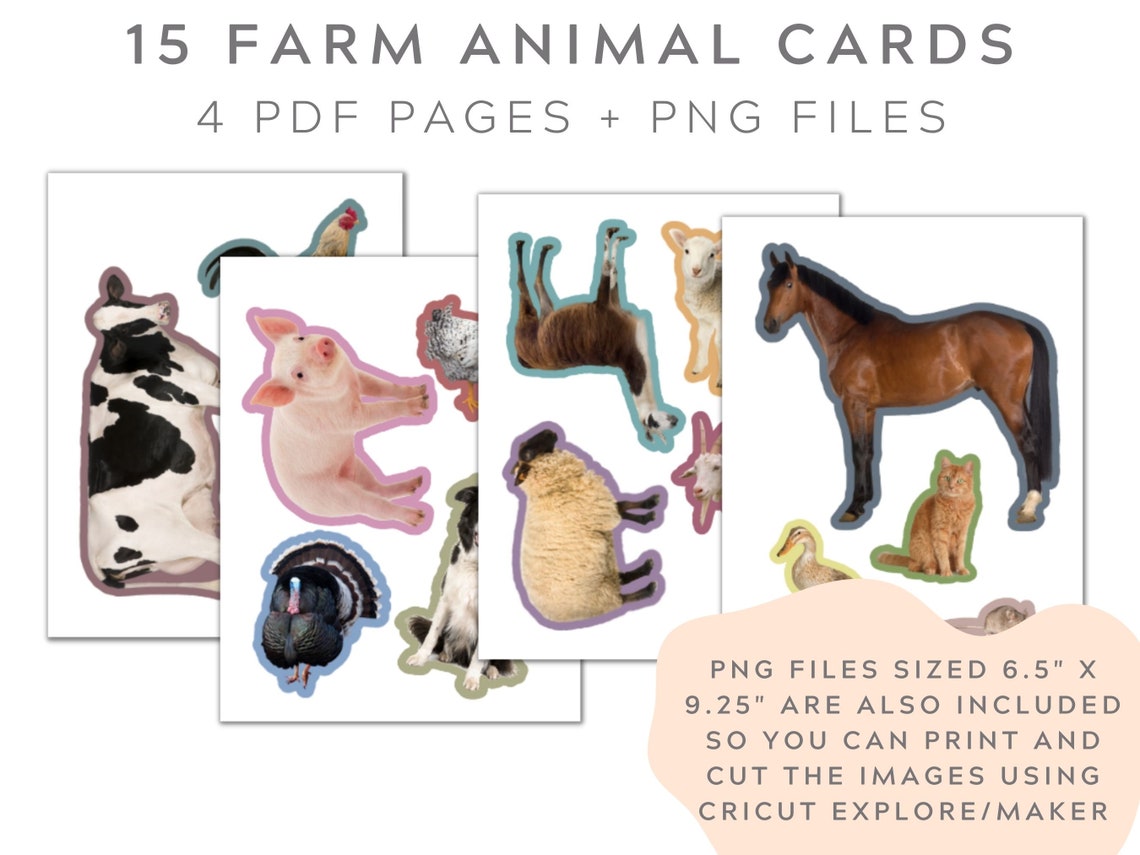 15 Farm Animals Flashcards and Poster With Real Pictures. Montessori ...