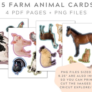 15 Farm Animals Flashcards and Poster With Real Pictures. Montessori ...