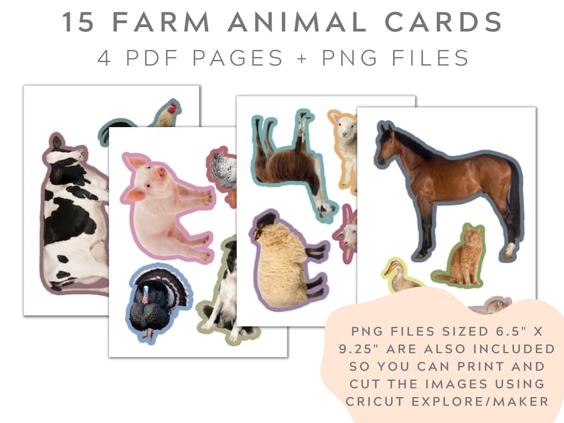 15 Farm Animals Flashcards and Poster With Real Pictures. Montessori ...