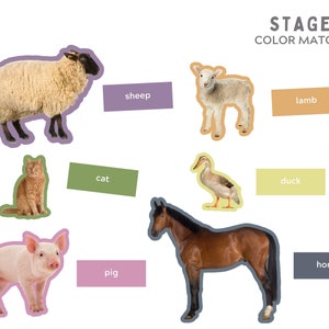 15 Farm Animals Flashcards and Poster With Real Pictures. Montessori ...