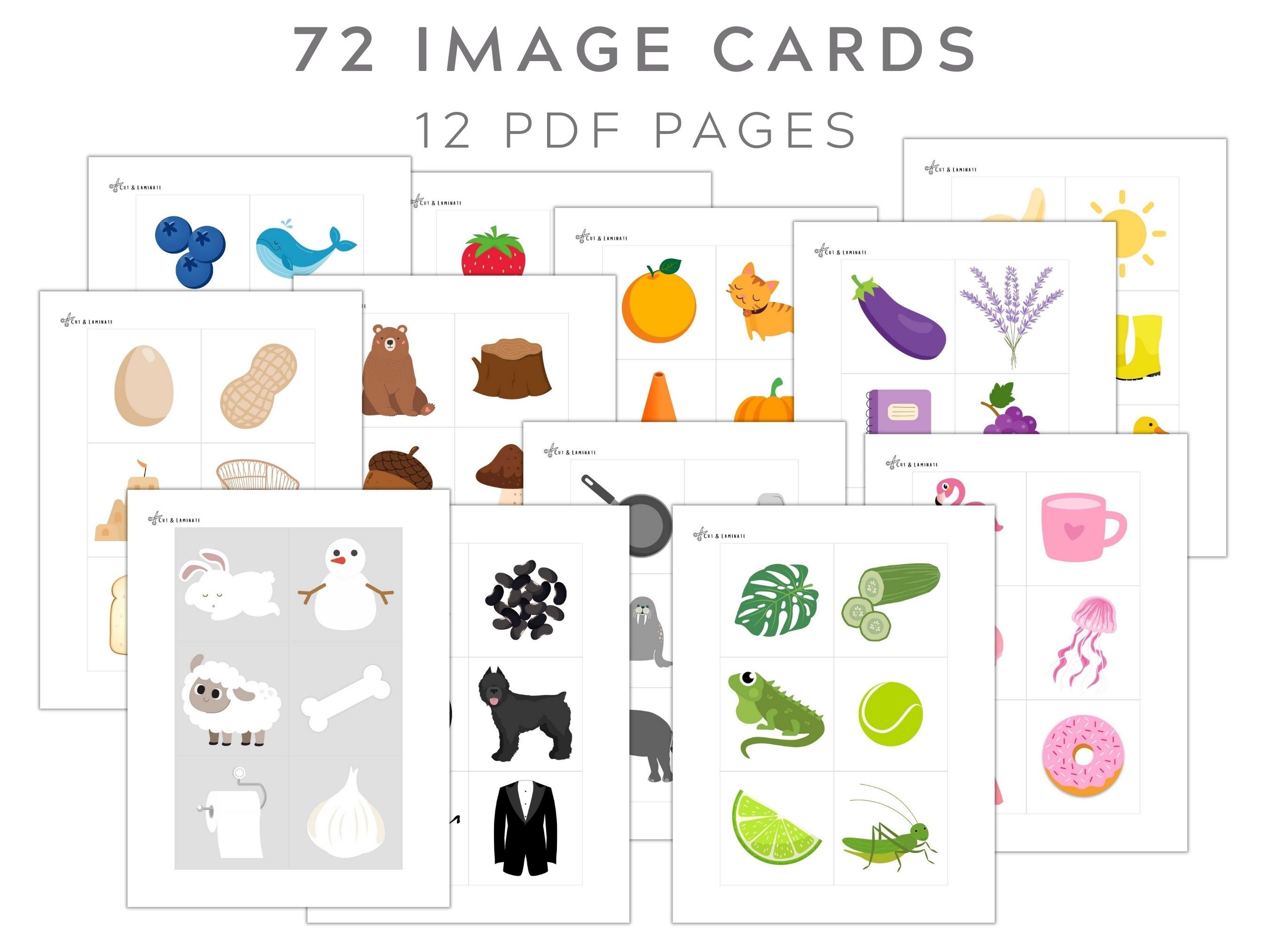 Color Sorting Activity. Color Matching Cards. Toddler, Preschool ...