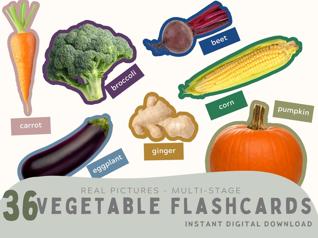 36 Vegetable Flashcards. Real Pictures. Montessori Flashcards ...