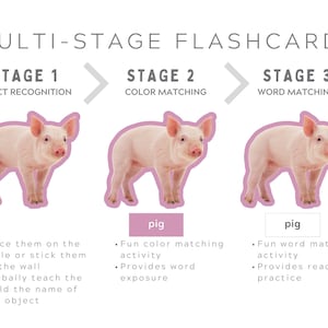 15 Farm Animals Flashcards and Poster With Real Pictures. Montessori ...