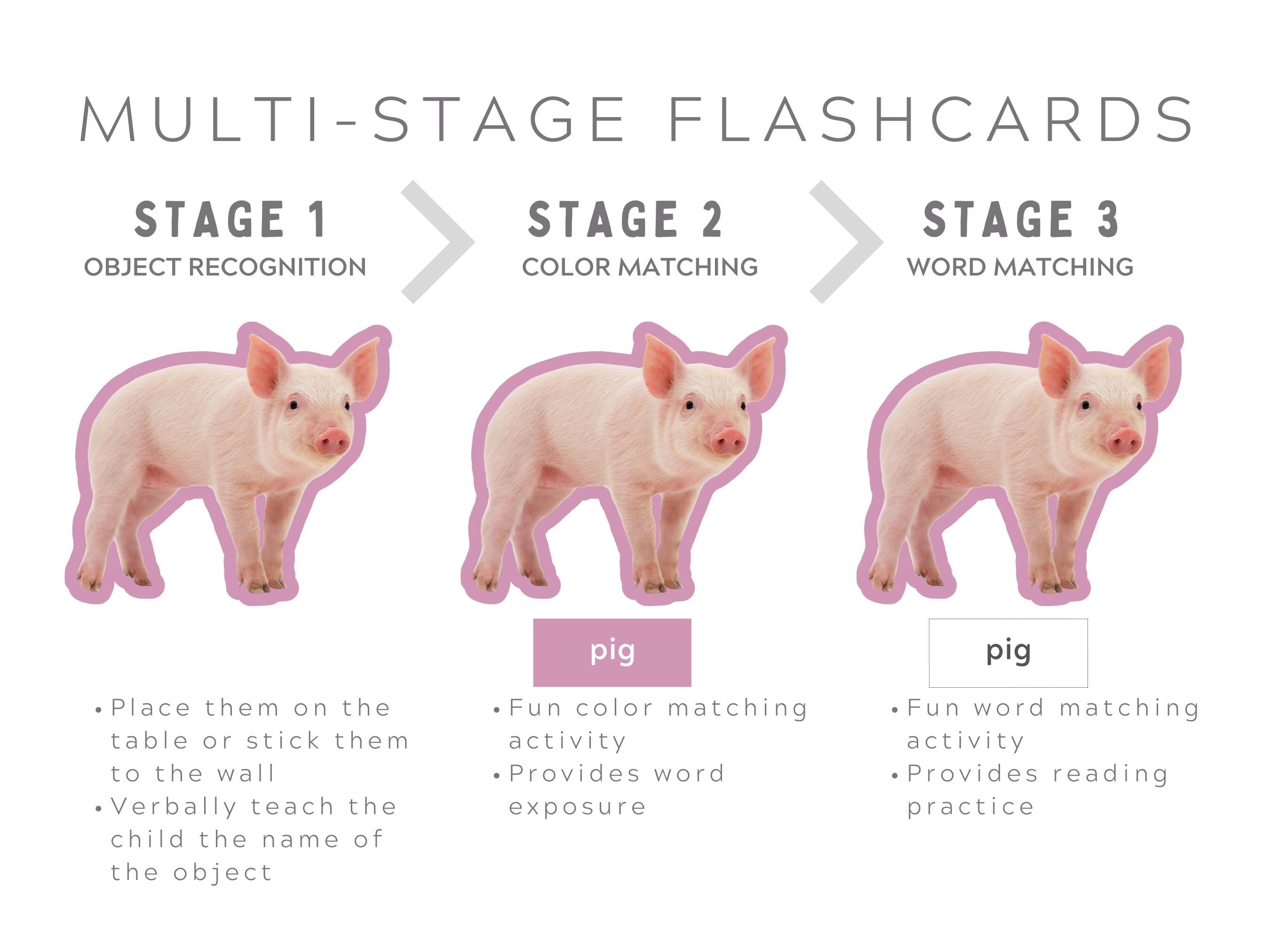 15 Farm Animals Flashcards and Poster With Real Pictures. Montessori ...