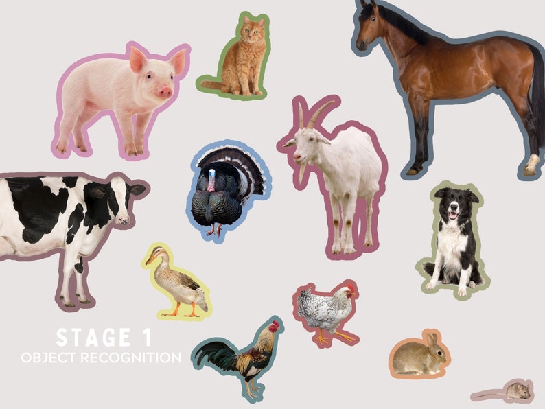 15 Farm Animals Flashcards and Poster With Real Pictures. Montessori ...