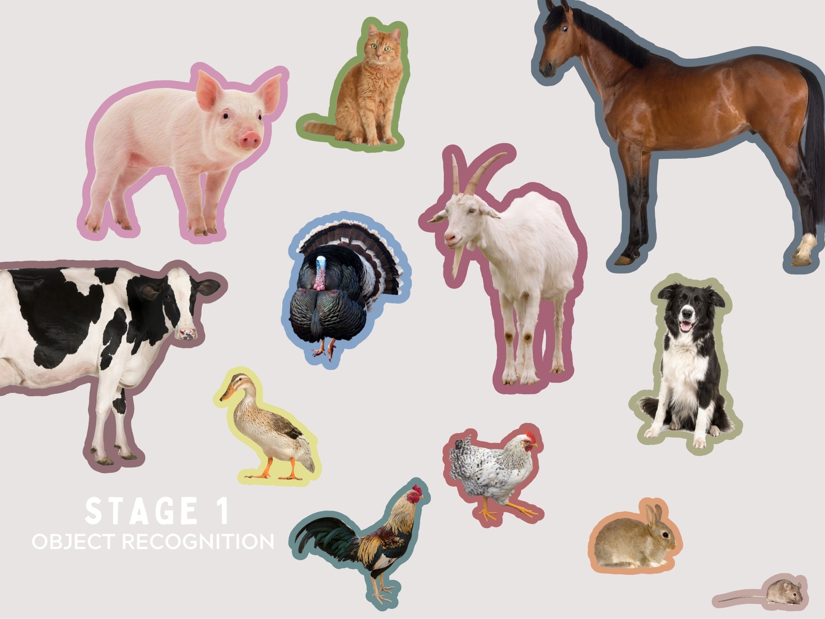 15 Farm Animals Flashcards and Poster With Real Pictures. Montessori ...