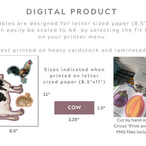 15 Farm Animals Flashcards and Poster With Real Pictures. Montessori ...