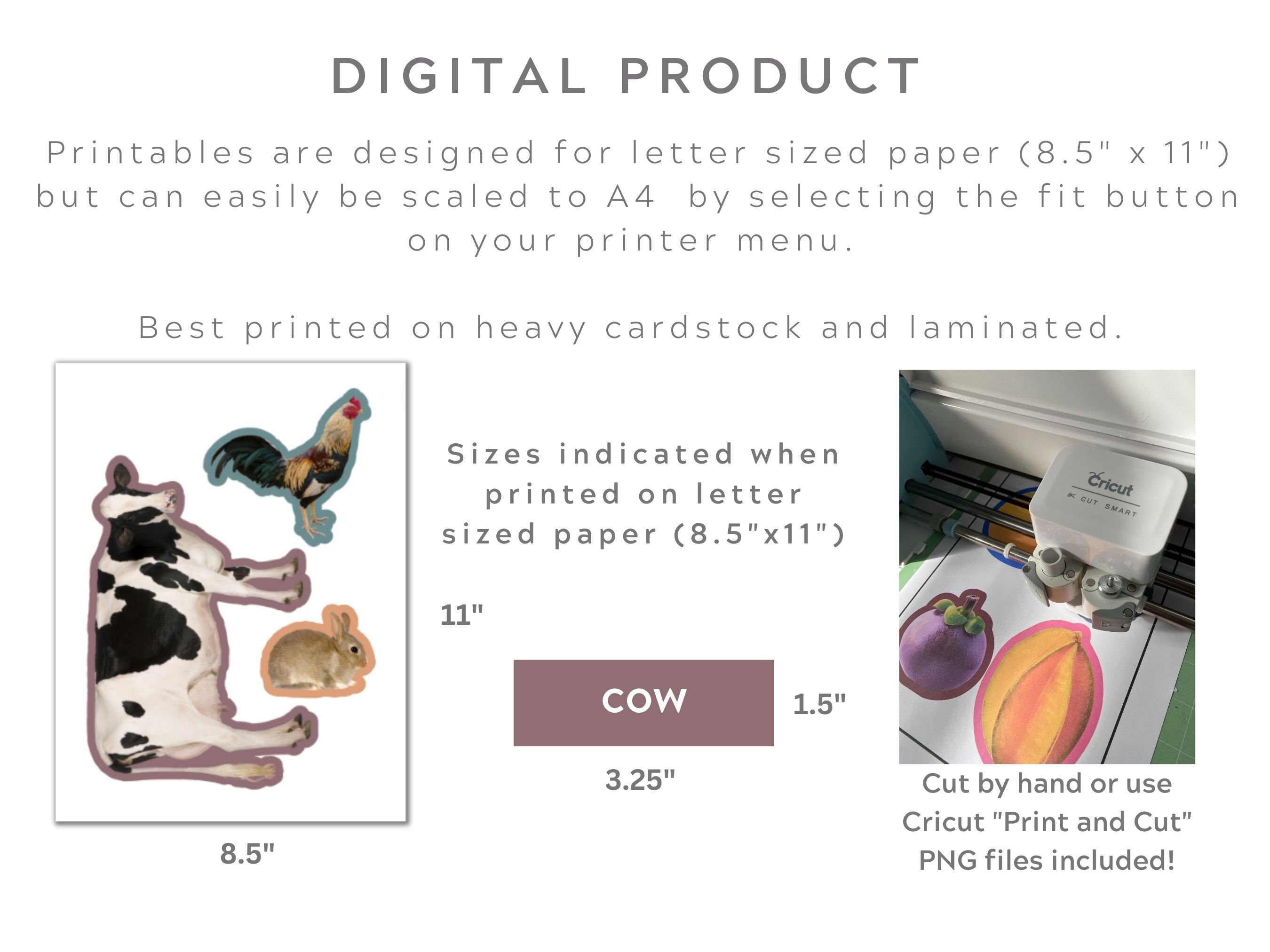 15 Farm Animals Flashcards and Poster With Real Pictures. Montessori ...