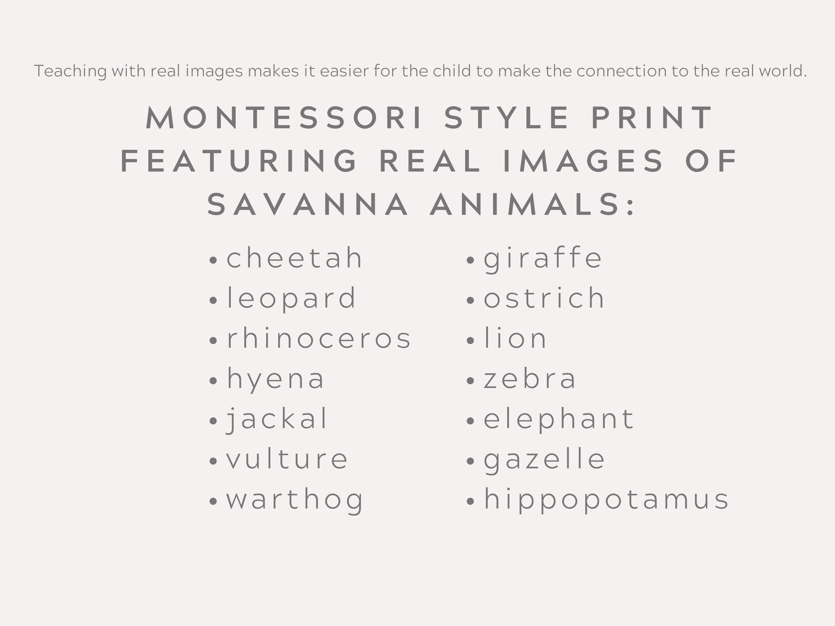Montessori Savanna Animals Poster With Real Pictures. Homeschool ...