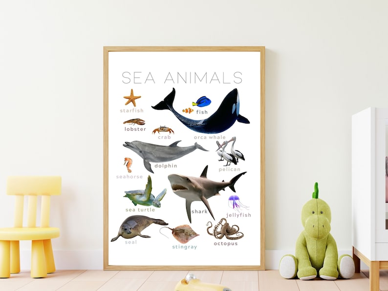 Montessori Sea Animals Poster With Real Pictures. Homeschool - Etsy