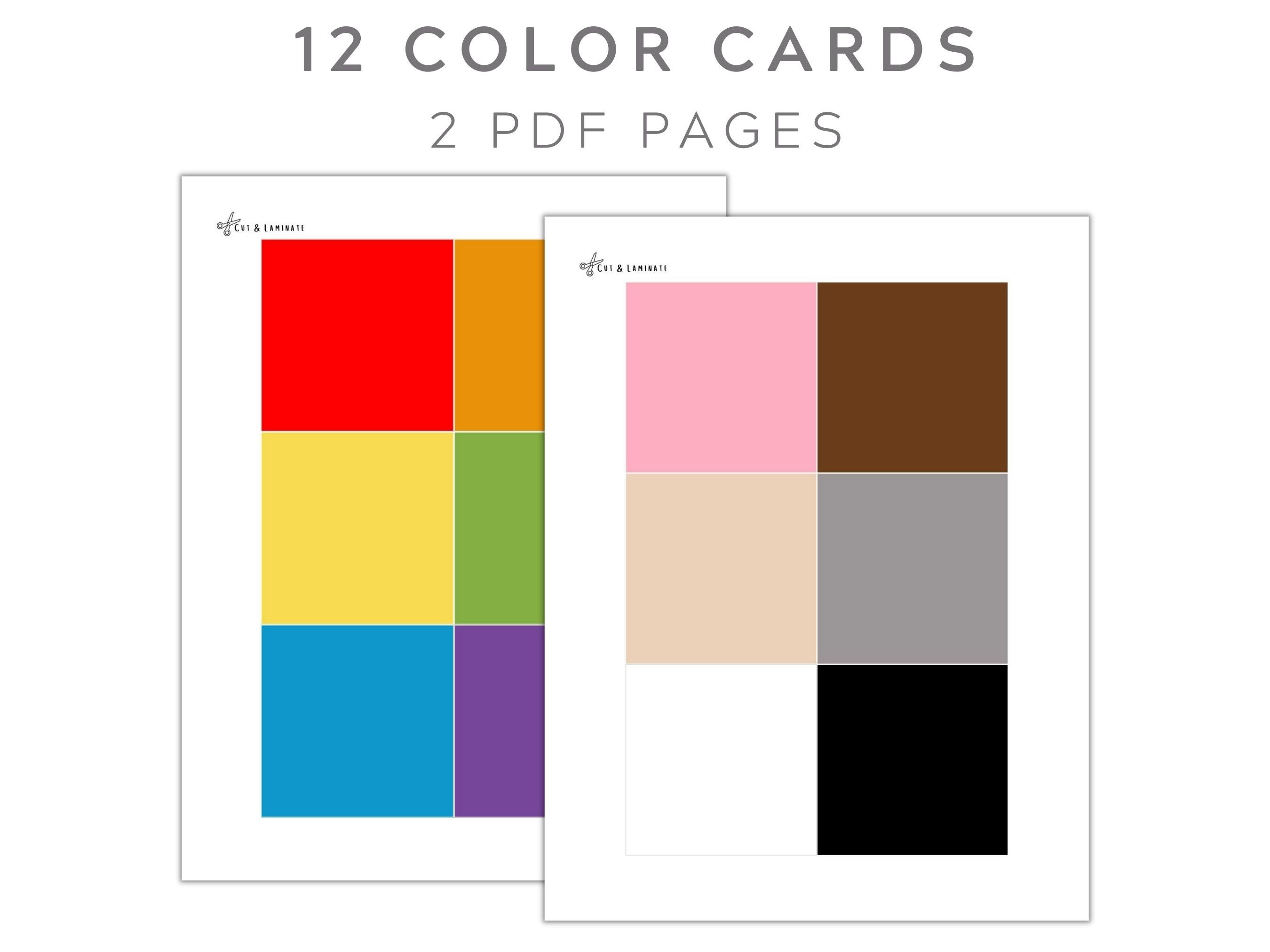 Color Sorting Activity. Color Matching Cards. Toddler, Preschool ...