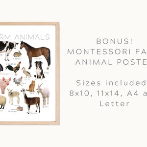 15 Farm Animals Flashcards and Poster With Real Pictures. Montessori ...