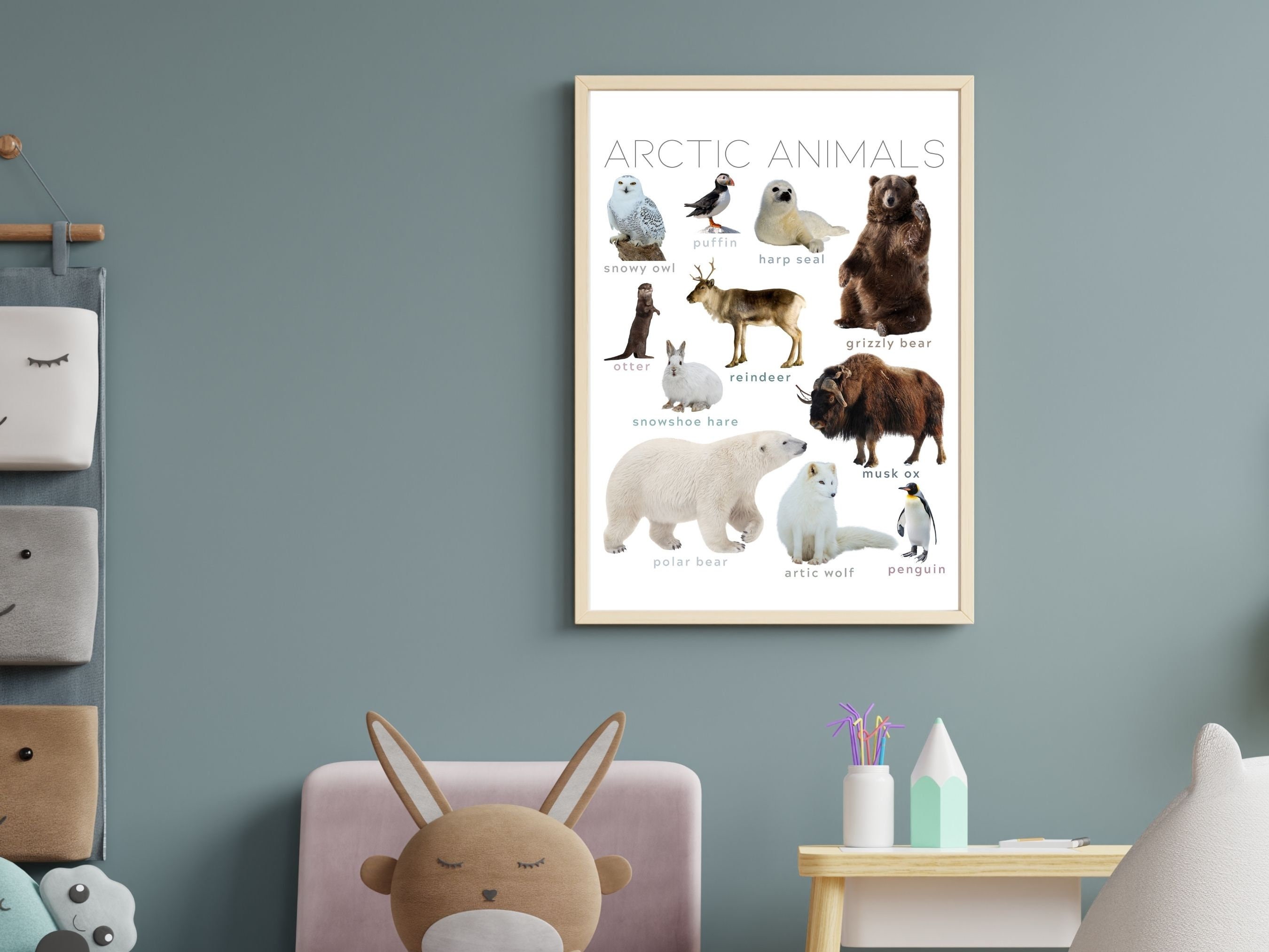 Montessori Arctic Animals Poster With Real Pictures. Homeschool ...