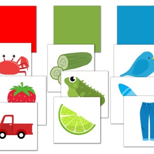 Color Sorting Activity. Color Matching Cards. Toddler, Preschool ...