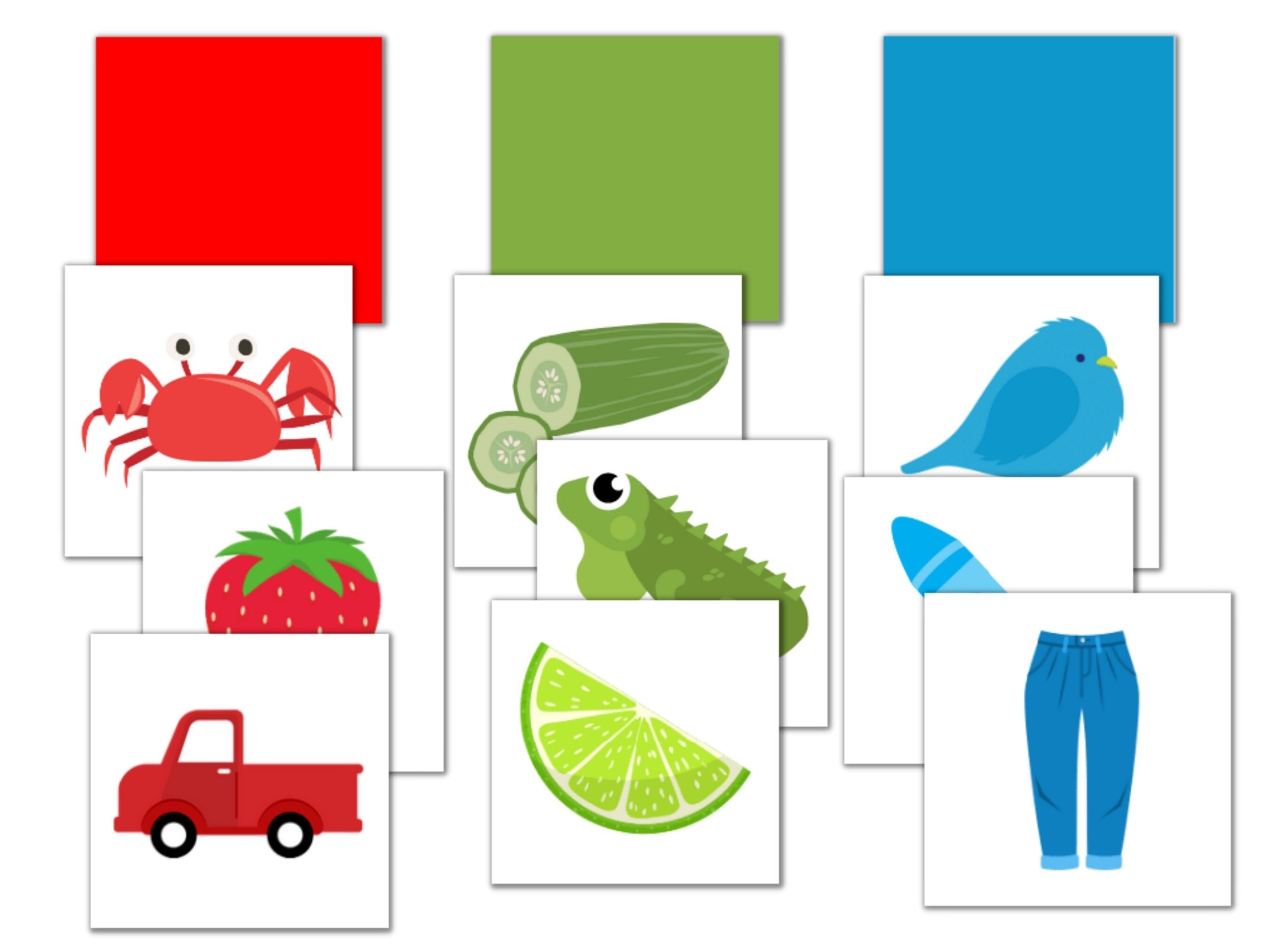 Color Sorting Activity. Color Matching Cards. Toddler, Preschool ...