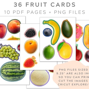 36 Fruit Flashcards With Real Pictures. Montessori Flashcards ...