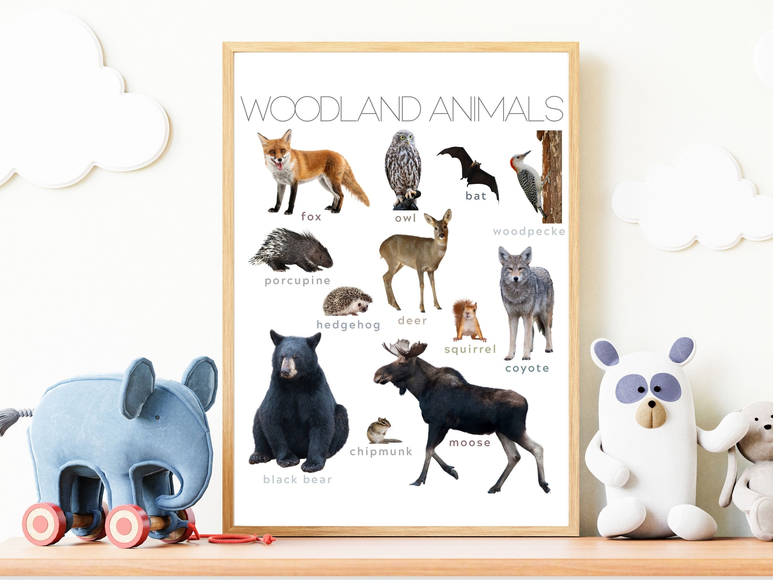 Montessori Woodland Animals Poster With Real Pictures. Homeschool ...
