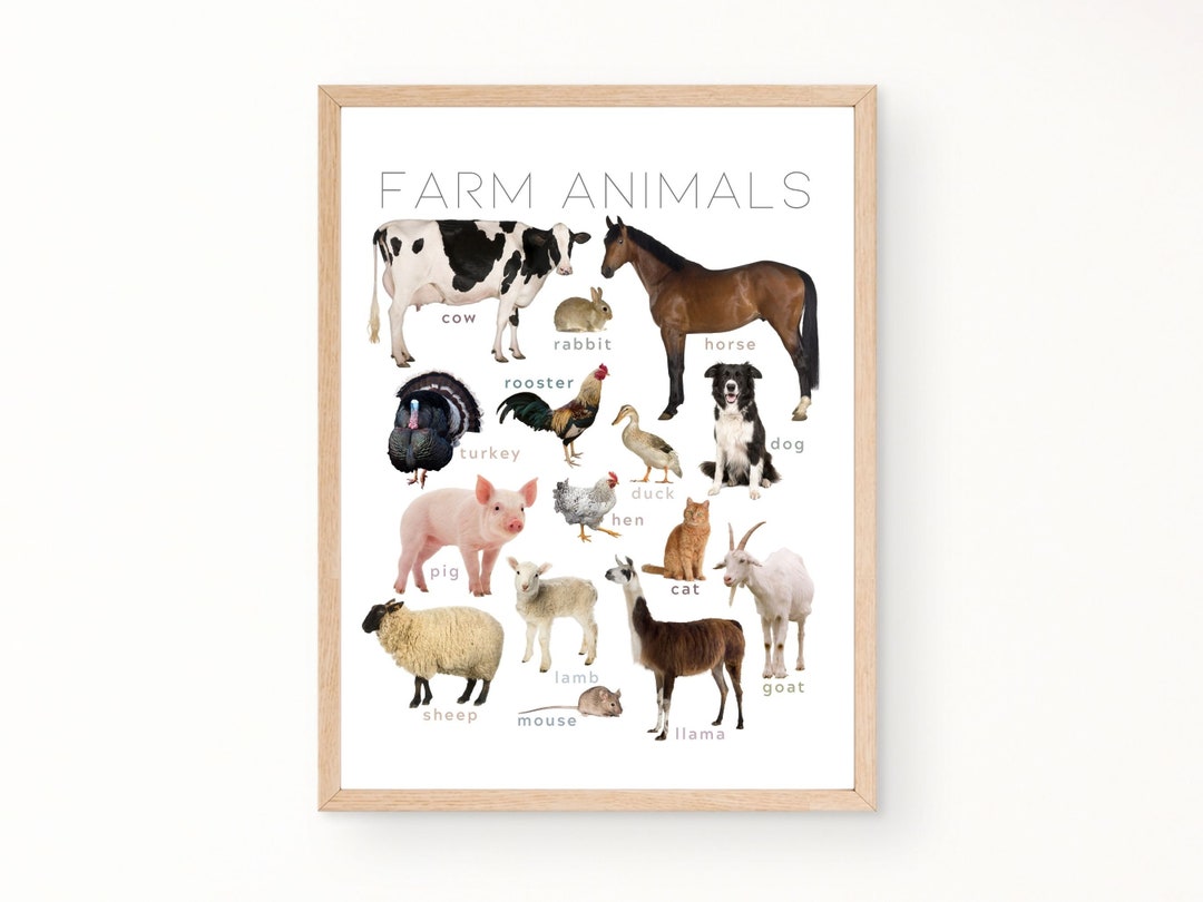 Montessori Farm Animals Poster With Real Pictures. Homeschool ...