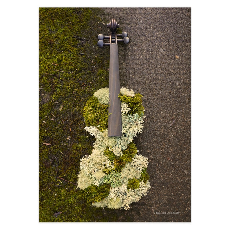 Pacific Northwest Moss Violin Greeting Cards: Birthday, Thank You ...