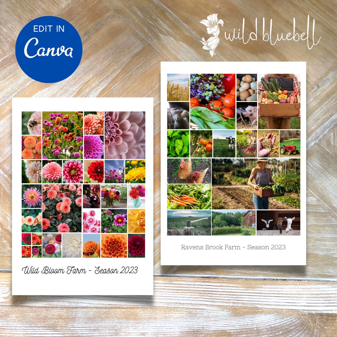 Photo Collage Postcard Template / Editable Photo Grid / Postcard ...