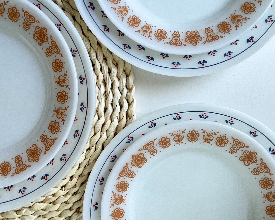 Set of 6 Termo Ray Brazil Milk Glass Plates | Thermo-rey Made in Brazil ...