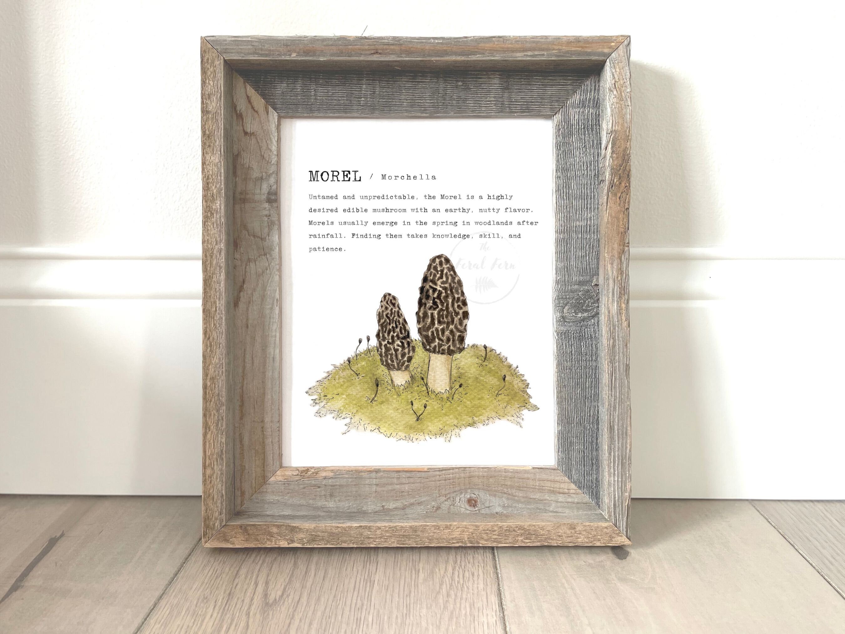 Morel Mushroom Art Print Downloadable Digital Art Print - Etsy