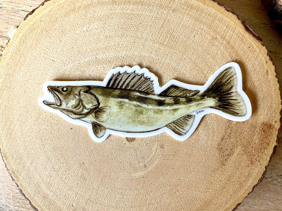 Walleye Sticker/ Fish Sticker/ Fishing Sticker/ Wisconsin Sticker/ Lake ...