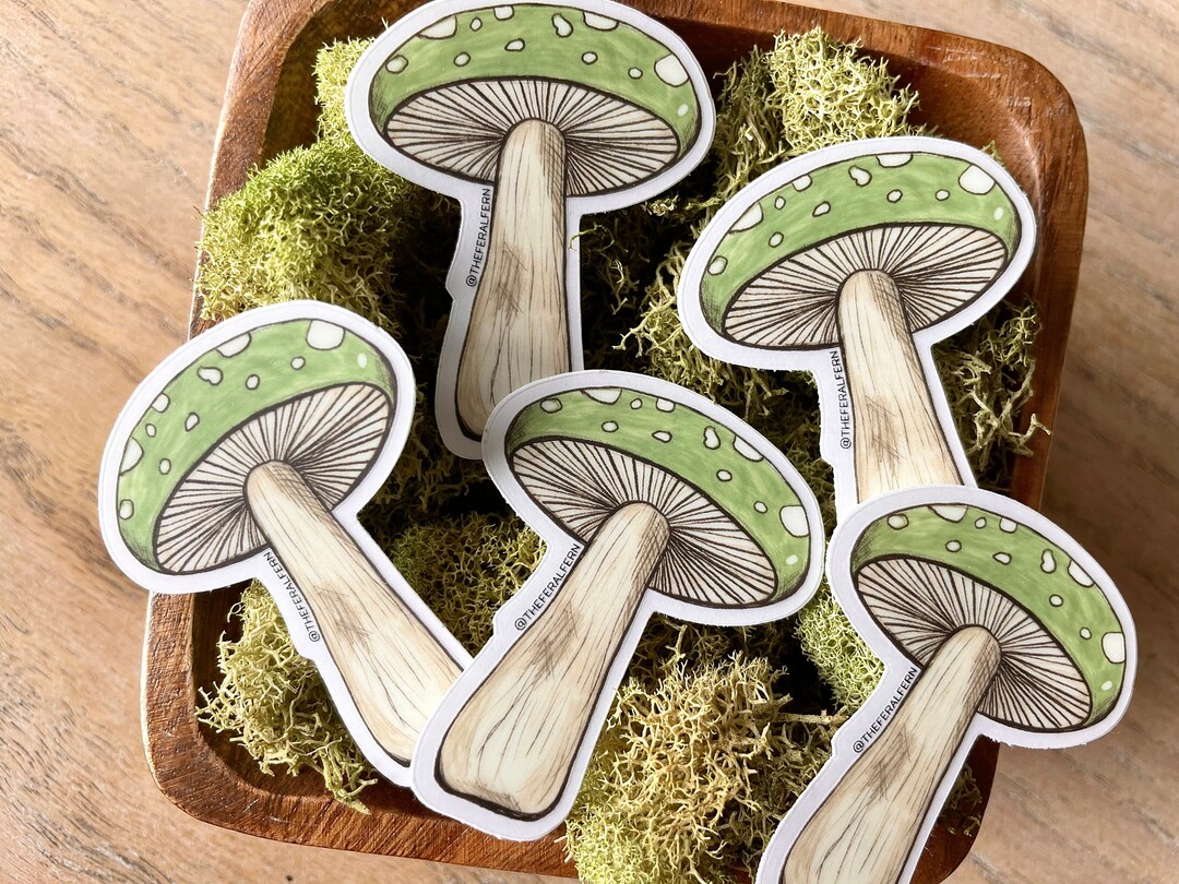 Mushroom Sticker / Toadstool Vinyl Sticker / Nature Waterproof Sticker ...