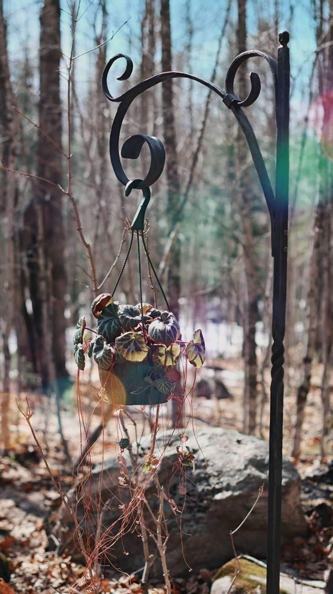 Hand Forged wrought Iron Shepherd's Hook - Etsy