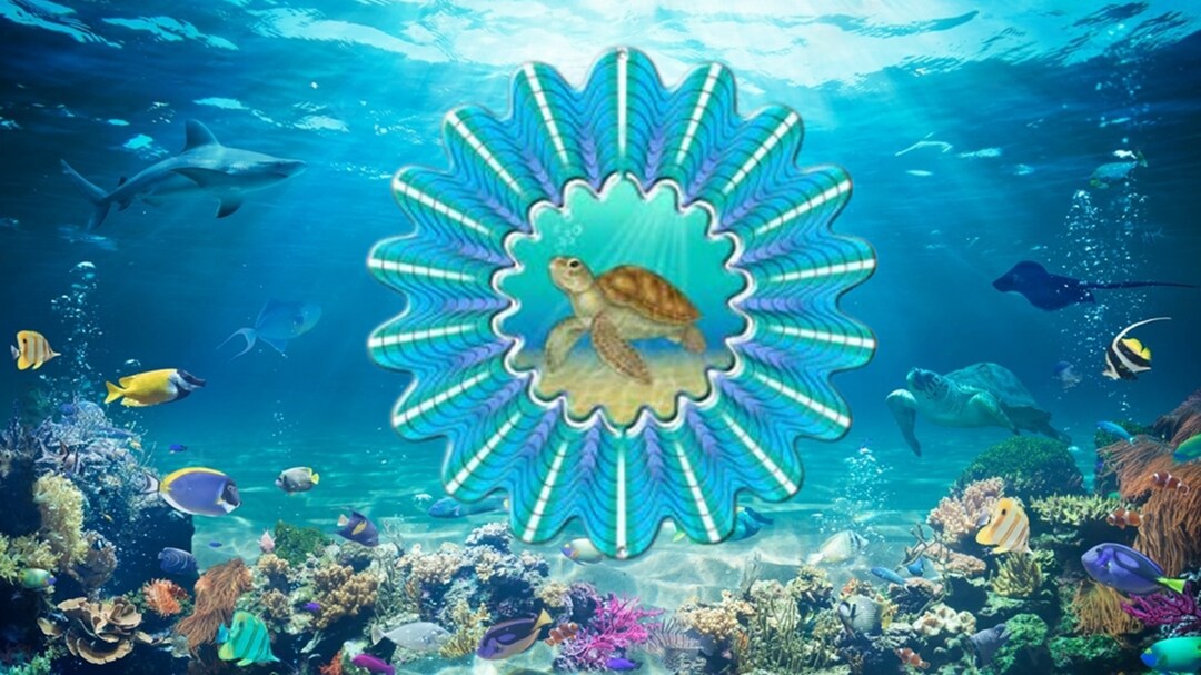 Animated Sea Turtle 12" Stainless Steel Wind Spinner - Etsy