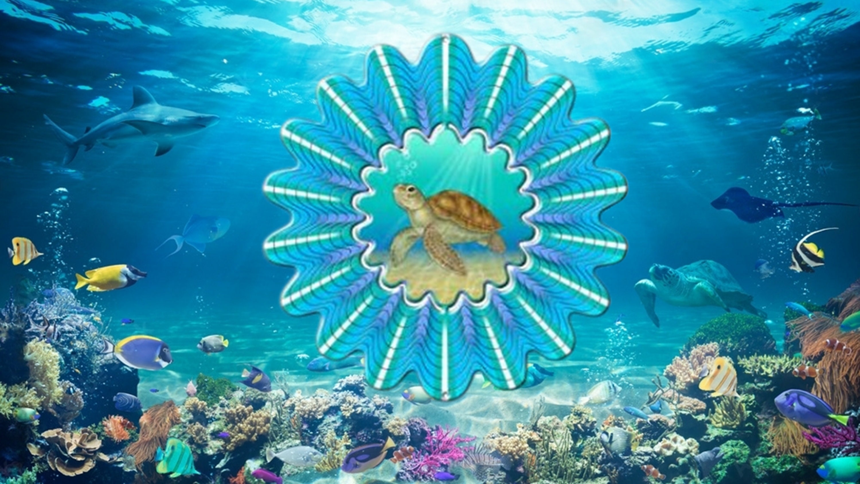 Animated Sea Turtle 12" Stainless Steel Wind Spinner - Etsy